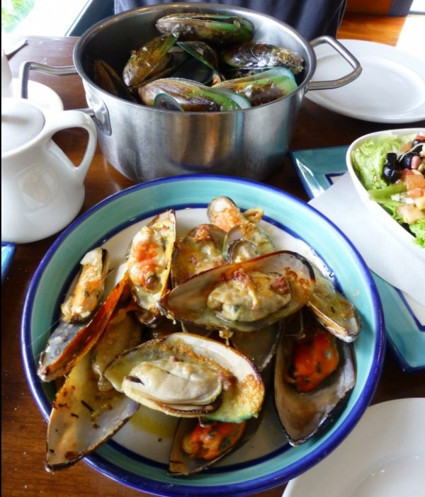 The Mussel Pot, New Zealand: Eating Green-Lipped Mussels