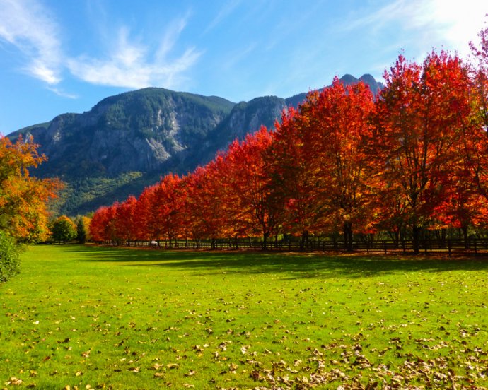 Rockwood Farm's Autumn Entrance in Snoqualmie