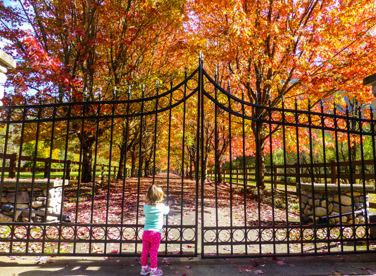 Rockwood Farm's Autumn Entrance in Snoqualmie Rockwood Farm's Autumn Entrance in Snoqualmie