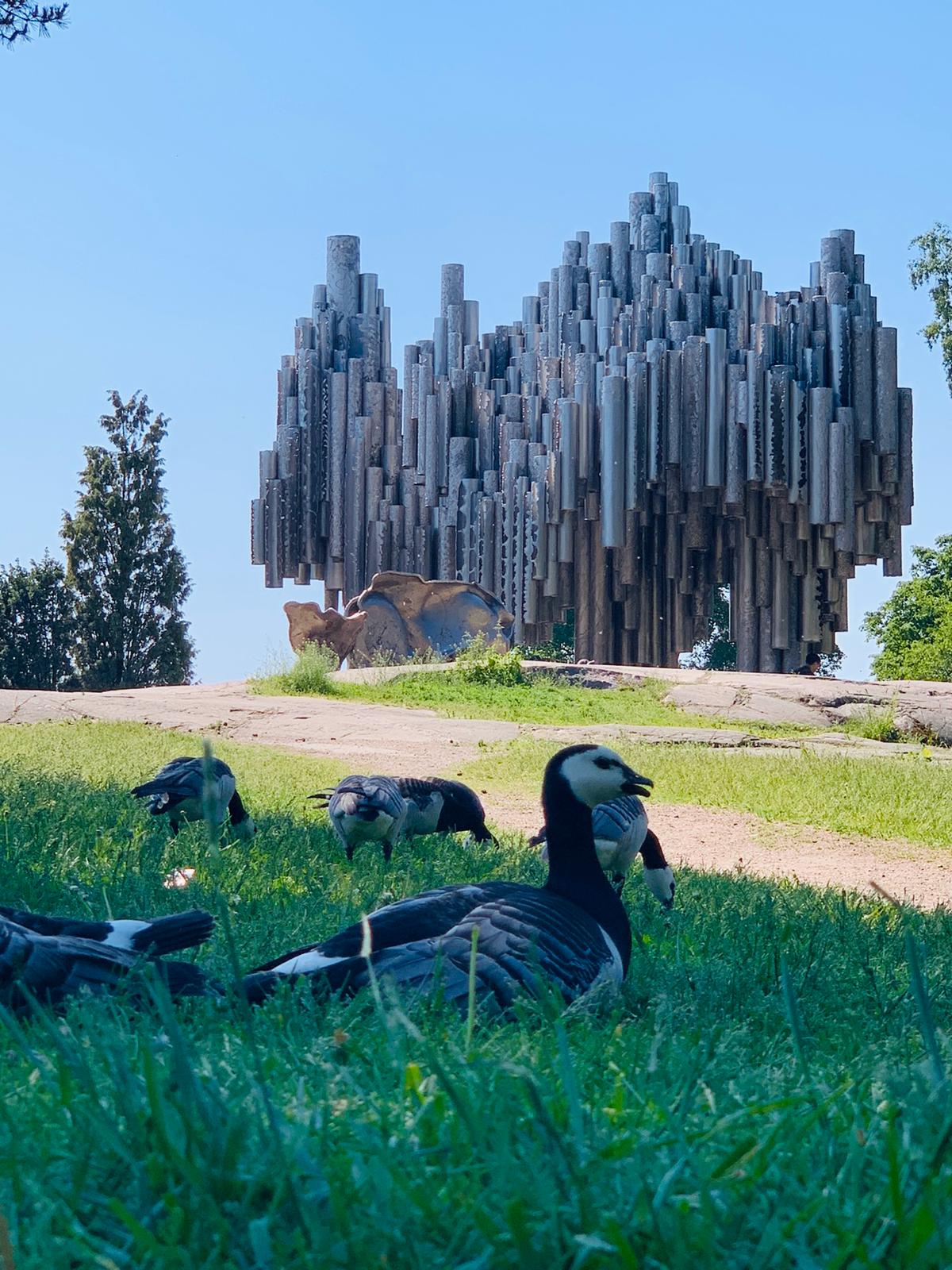 One Day in Helsinki: A Detailed and Cultural Itinerary for 2020