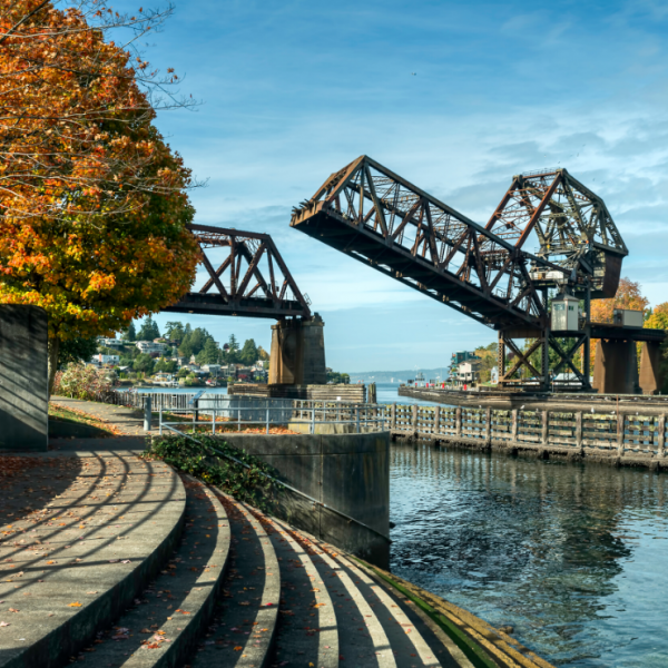 One Day in Seattle -- Written By Someone Who Lives There