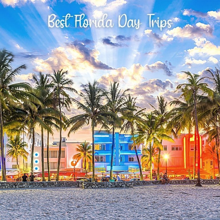 Best Florida Day Trips: A Local's Guide to the Top 10 Day Trips in Florida